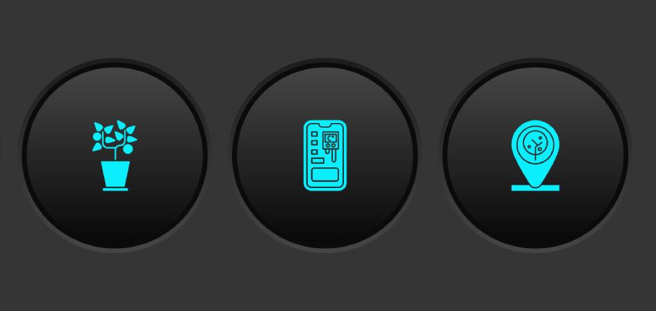 Codelattice launches ‘tech-pots’ for urban gardens on world environment day